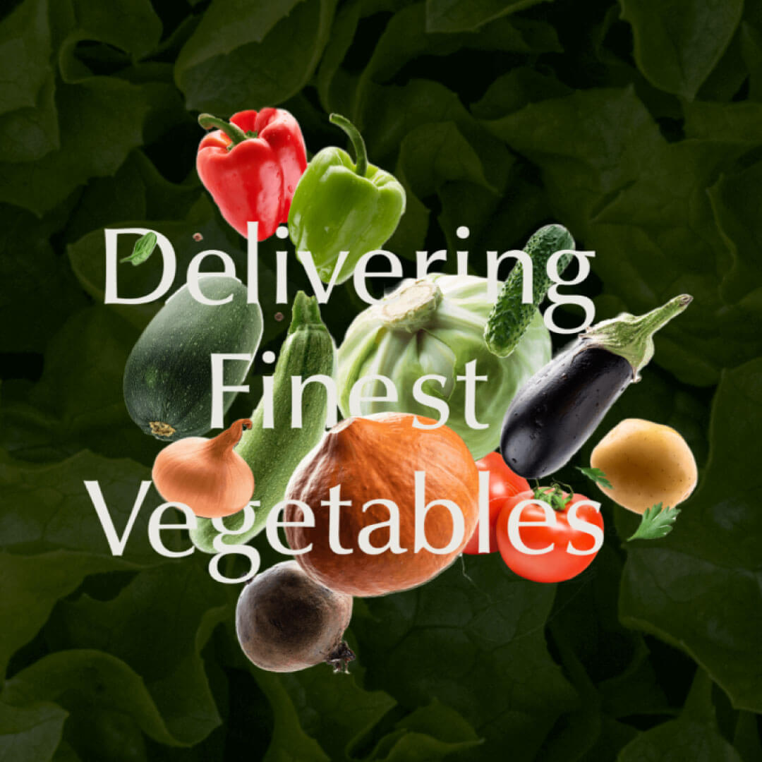 Jiong Heng - Delivering Finest Vegetables